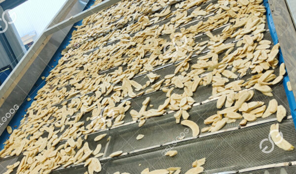 Tiga Jenis Mesin Pengeringan Buah Pisang Hijau